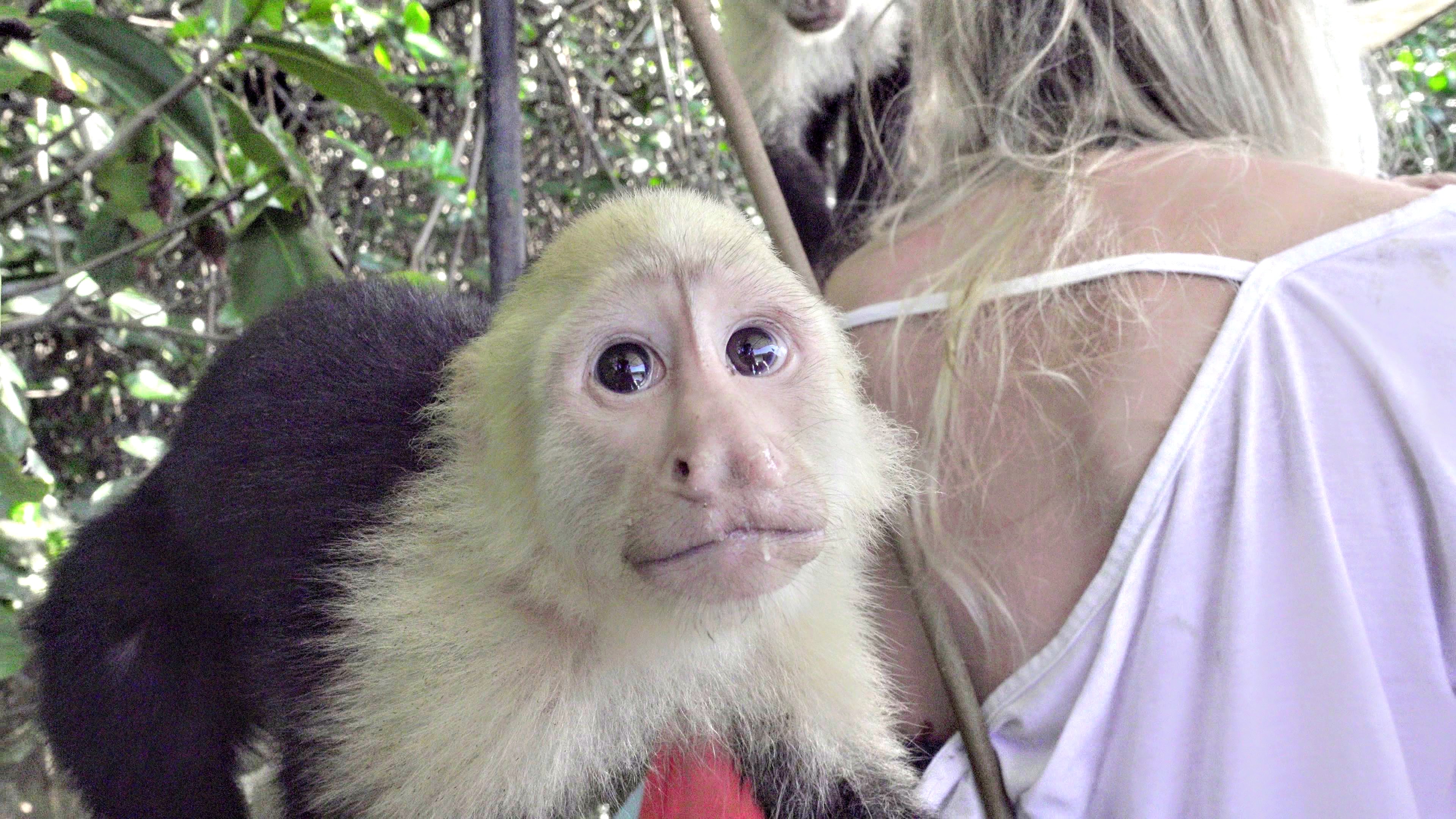 Chipotle Pepper Chili Recipe – Lovellie